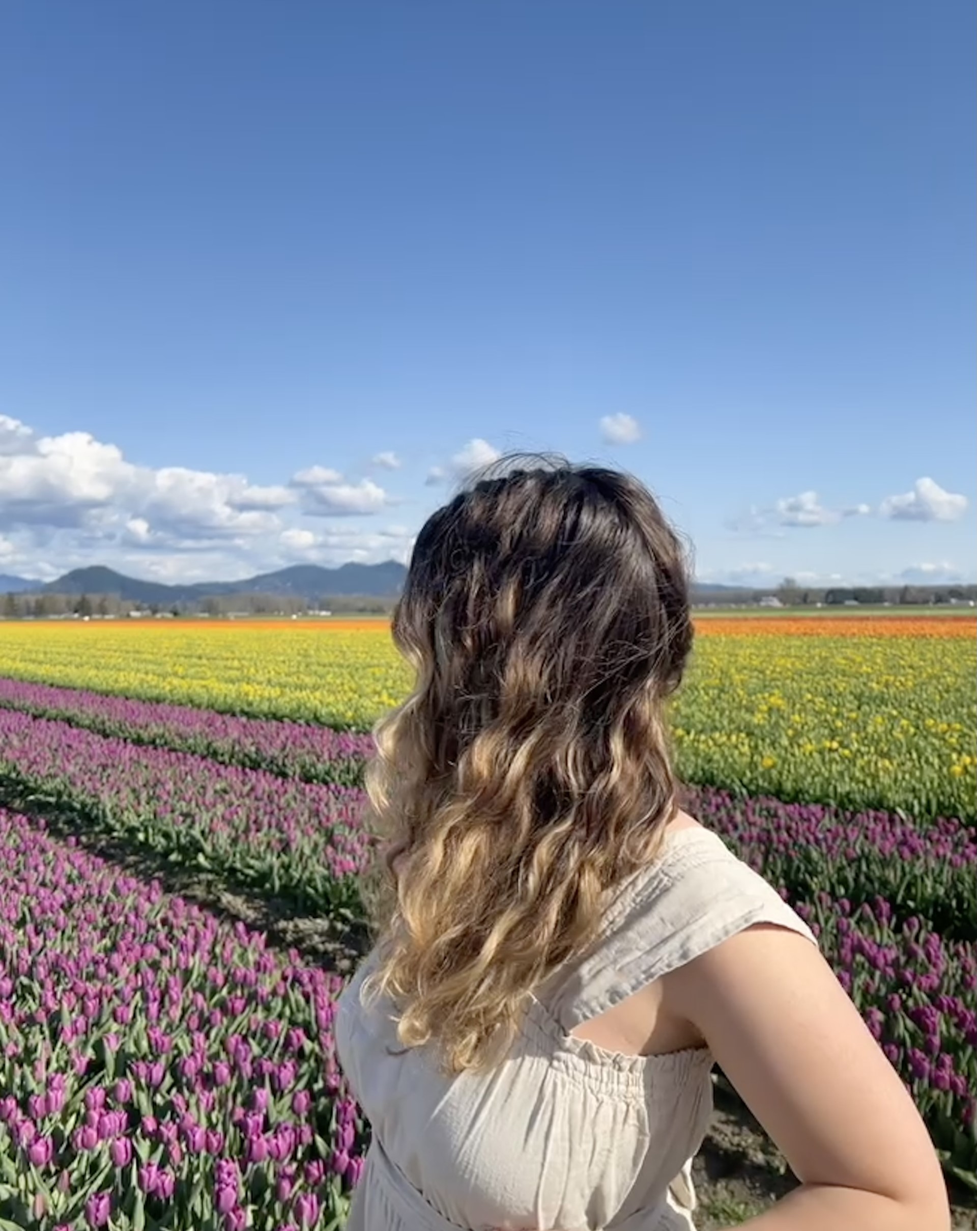 wander | Project website for Wander